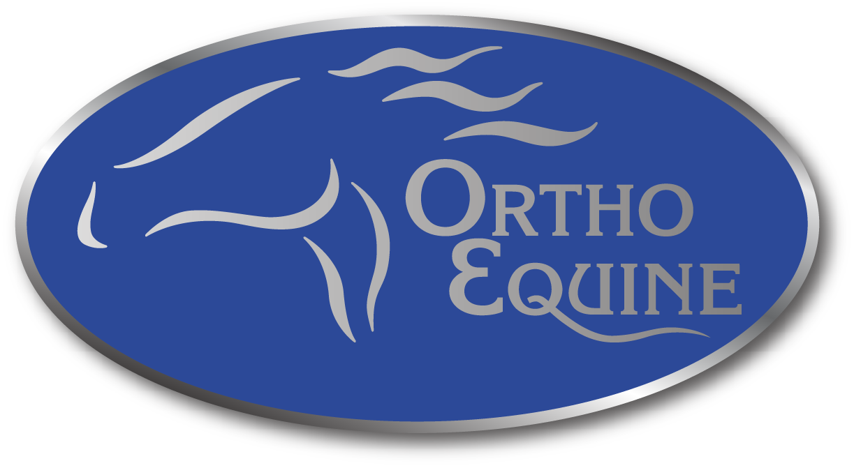 First Aid Kit Essentials – Ortho Equine